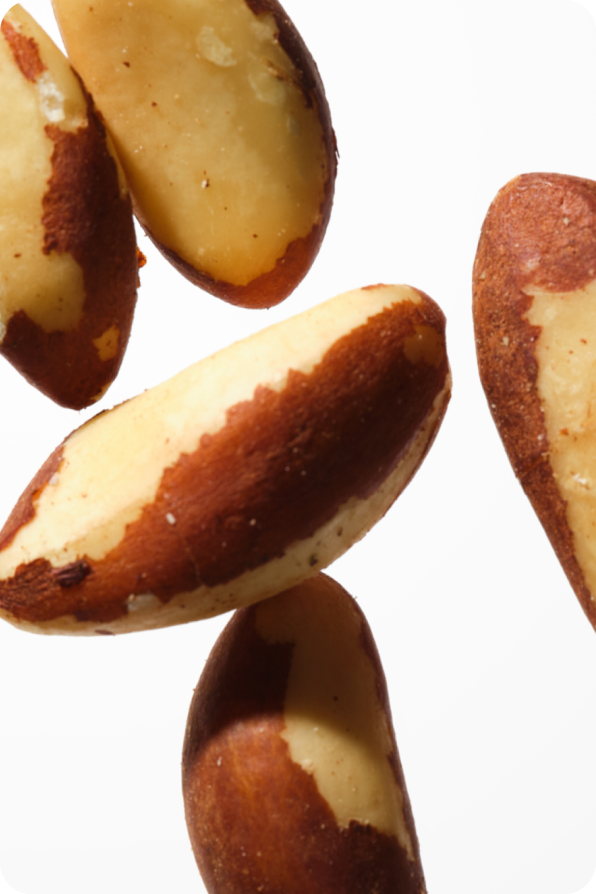 Ingredients - Stasis